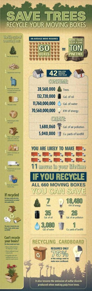 The Process of Cardboard Recycling - Box N Out